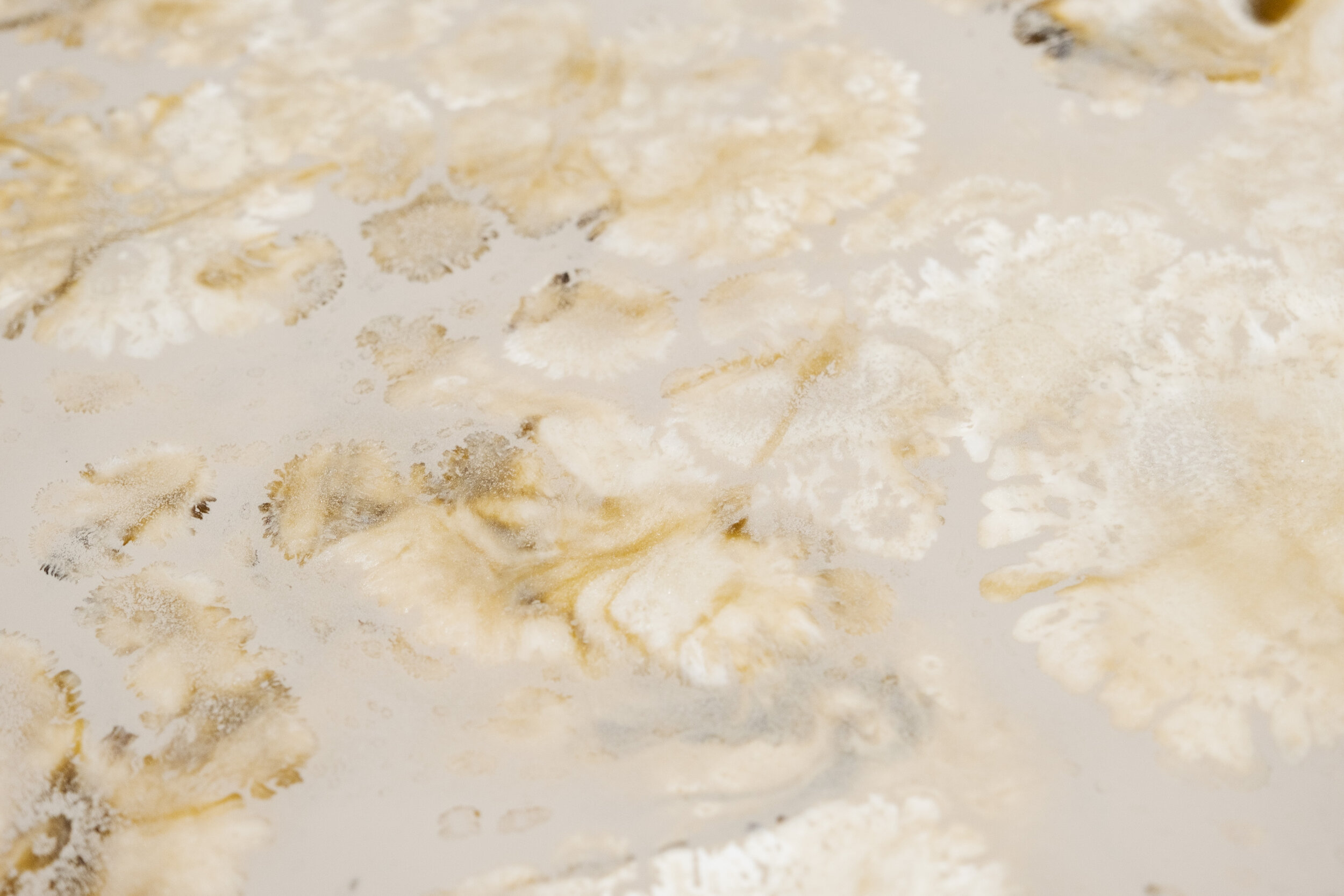 Churro Latte Marble - RK3 Designs